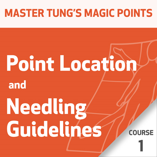 Master Tung's Magic Points: Point Location and Needling Guidelines ...